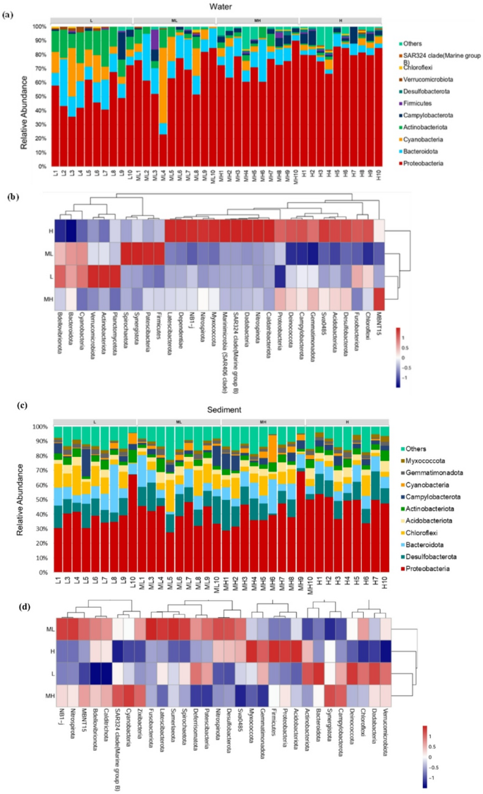 Salinity gradients induced multistability shifts of microbial ...