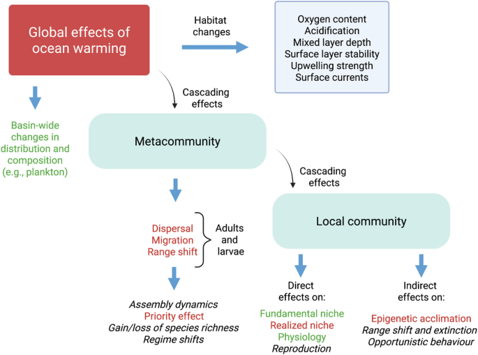 Niche and neutral processes shape the response of marine communities to ...