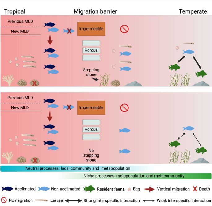 Niche and neutral processes shape the response of marine communities to ...