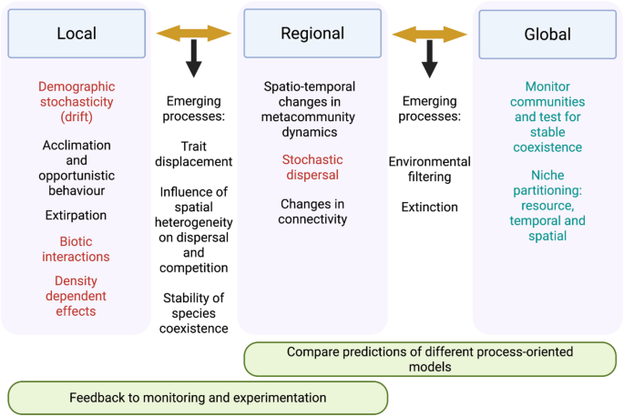 Niche and neutral processes shape the response of marine communities to ...