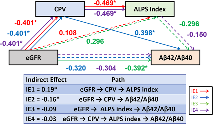 The relationship between choroid plexus volume, DTI-ALPS index, kidney ...