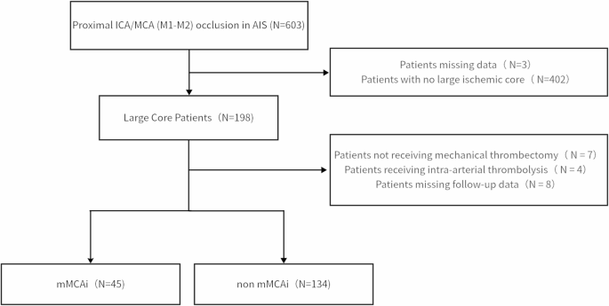 A nomogram for predicting malignant middle cerebral artery infarction ...