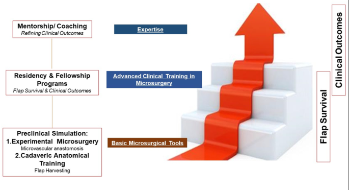 The training ladder in reconstructive microsurgery in 2025 | European ...