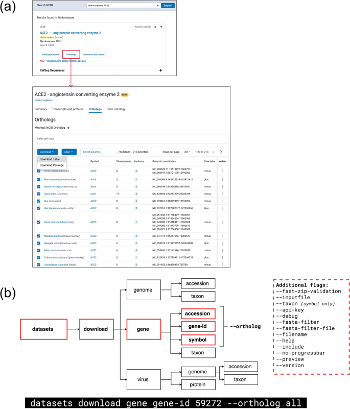 NCBI Orthologs: Public Resource and Scalable Method for Computing High ...