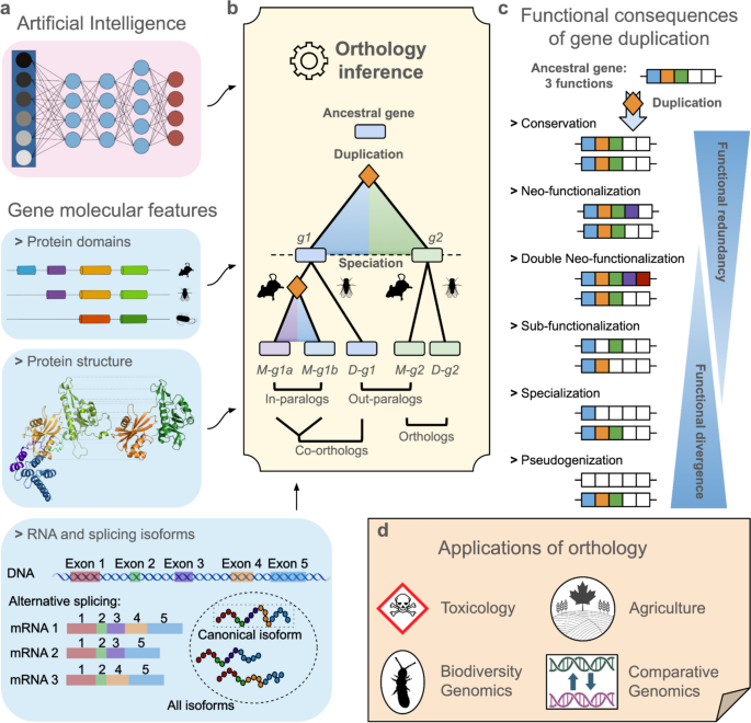 Quest for Orthologs in the era of Data Deluge and AI: Challenges and ...