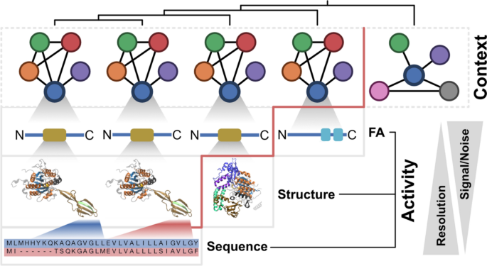 A Multi-level Perspective on the Evolution of Orthologs and Their ...