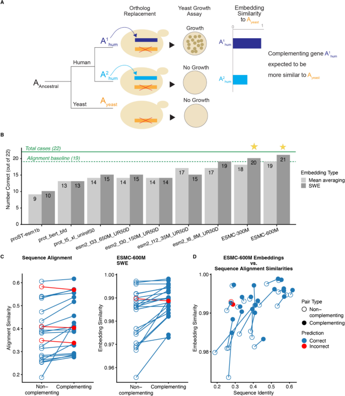 Evaluating Pretrained Protein Language Model Embeddings as Proxies for Functional Similarity ...