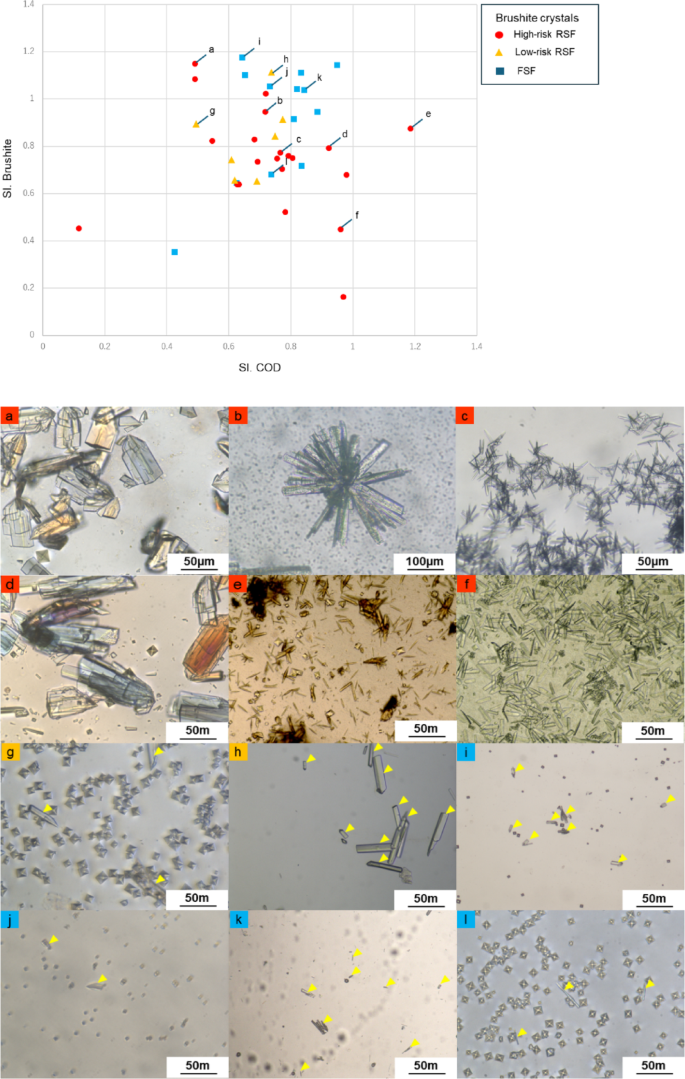 Cooling-induced brushite crystallization in urine as a predictive risk ...
