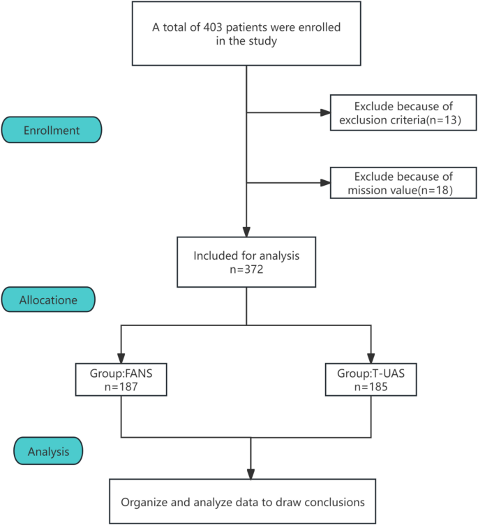Flexible ureteroscopy under local anesthesia for 2–4 cm renal stones ...