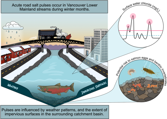 Tracking Road Salt Contamination Through Community Monitoring: Annual ...
