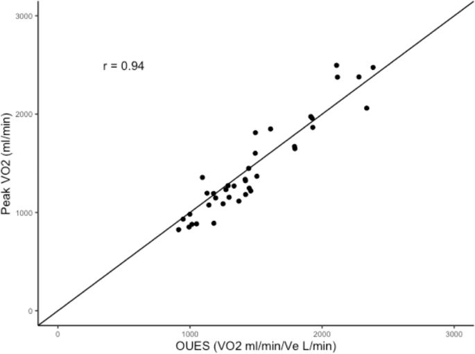 Cardiopulmonary Exercise Testing in Children and Adolescents with ...