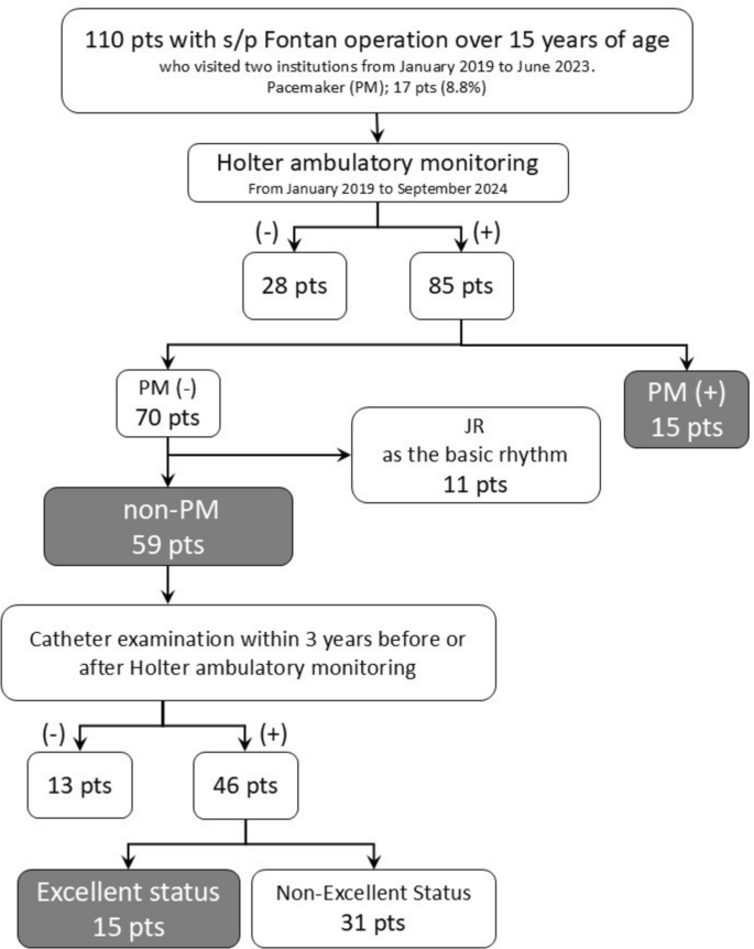 Influence of Heart Rate on Hemodynamics in Fontan Circulation ...