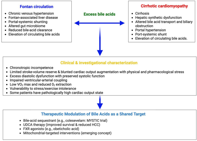 Failing Fontan Circulation and Cirrhotic Cardiomyopathy: Parallel ...