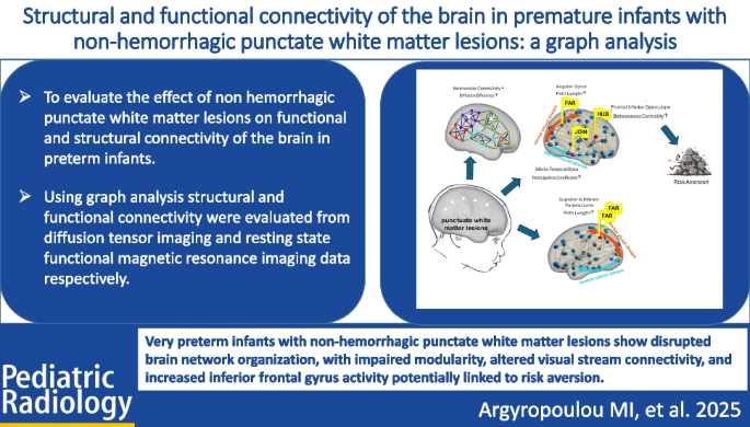 Structural and functional connectivity of the brain in premature ...