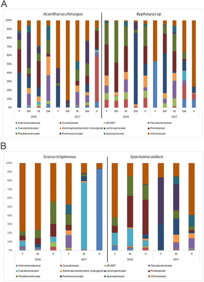 The Abrolhos Nominally Herbivorous Coral Reef Fish Acanthurus chirurgus ...