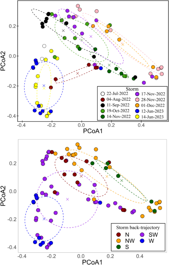 Community Composition of Microbial Eukaryotes Transported by Stemflow ...
