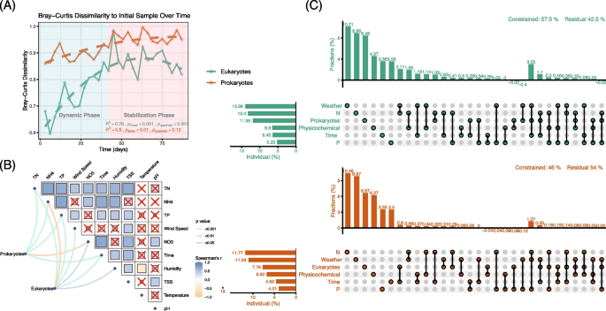 Temporal Dynamics and Adaptive Mechanisms of Microbial Communities ...