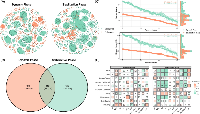 Temporal Dynamics and Adaptive Mechanisms of Microbial Communities ...
