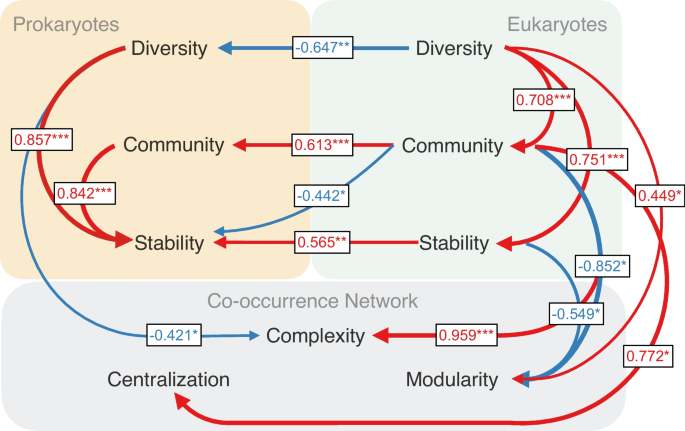 Temporal Dynamics and Adaptive Mechanisms of Microbial Communities ...