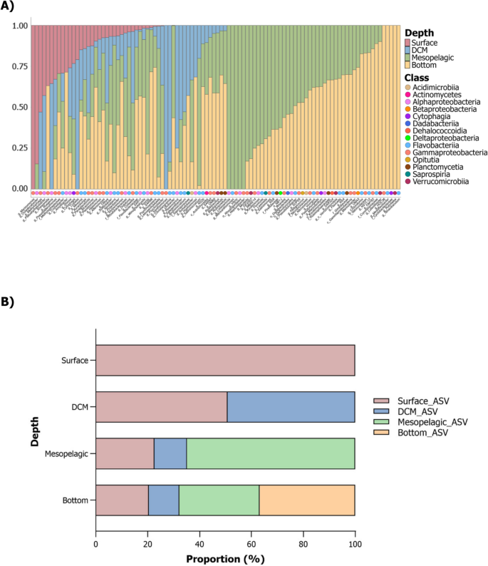 Vertical Structure and Functional Diversity of Microbial Communities in ...