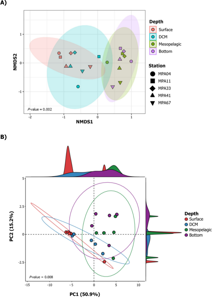 Vertical Structure and Functional Diversity of Microbial Communities in ...