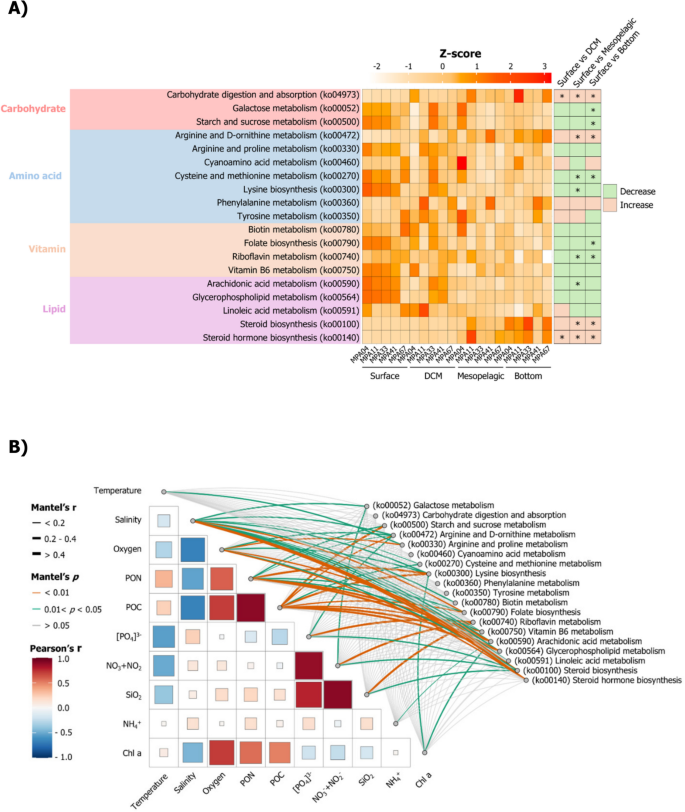 Vertical Structure and Functional Diversity of Microbial Communities in ...
