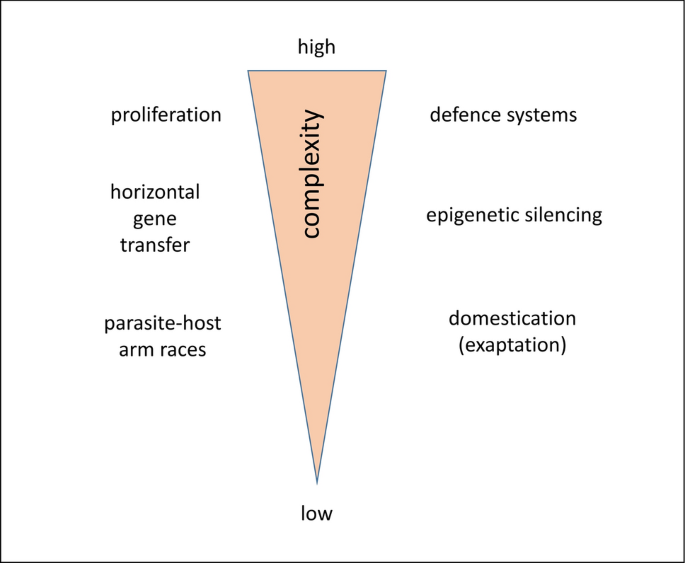 Acytota and the evolution of complexity | European Biophysics Journal ...
