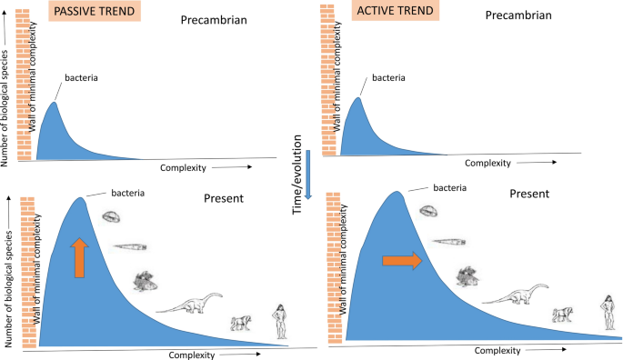 Acytota and the evolution of complexity | European Biophysics Journal ...