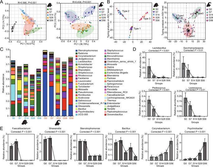 Age-specific composition of milk microbiota in Tibetan sheep and goats ...