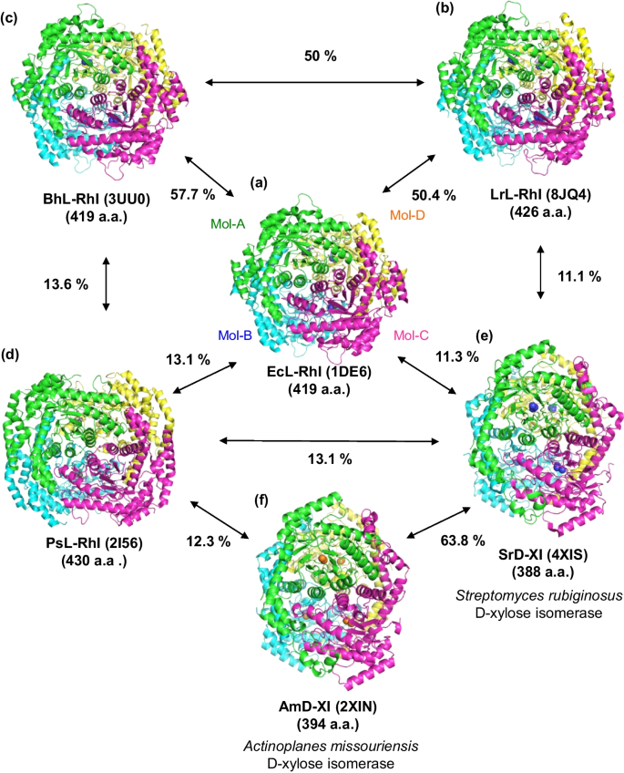 L-rhamnose isomerase: a crucial enzyme for rhamnose catabolism and ...