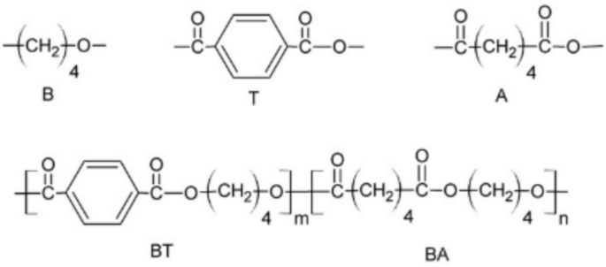 Microorganisms and enzymes involved in polybutylene adipate ...
