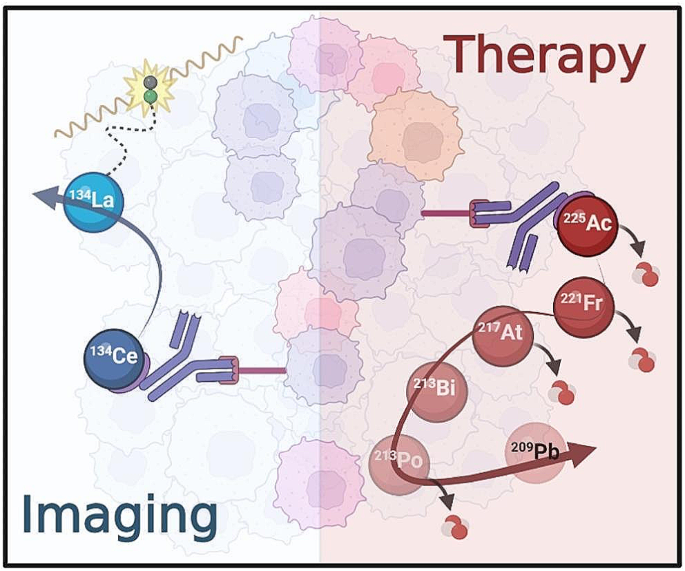 Examination of the PET in vivo generator 134Ce as a theranostic match ...