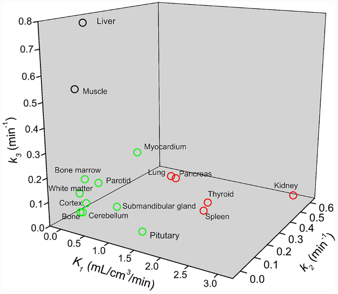 Total-body dynamic PET/CT imaging reveals kinetic distribution of [13N]NH3 in normal organs ...