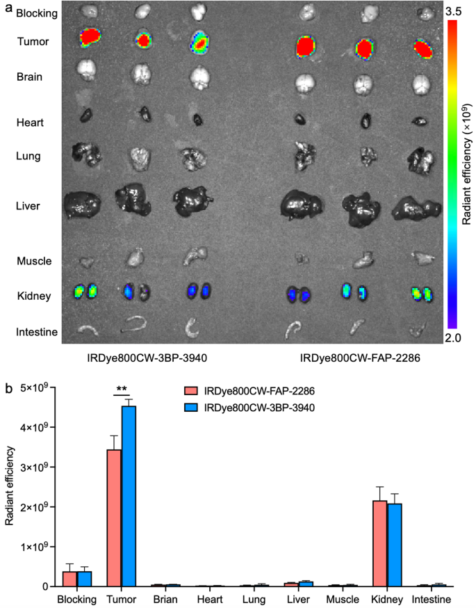 Preclinical and pilot clinical evaluation of novel dual-modality pet ...