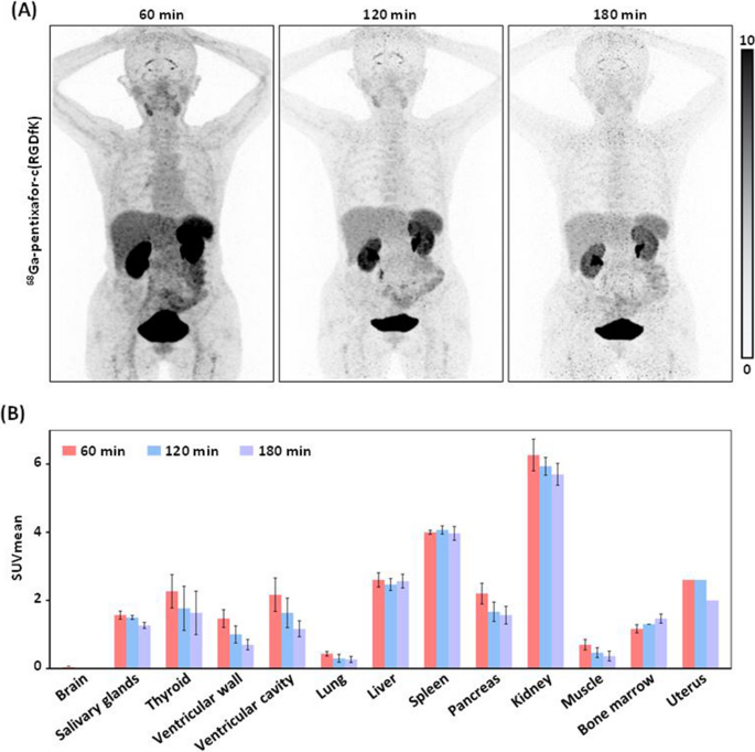 Synthesis, preclinical evaluation and clinical application of a novel ...