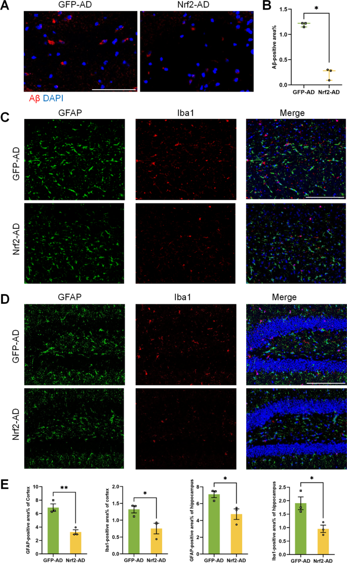 Early astrocyte-targeted intervention guided by 18F-SMBT-1 imaging ...