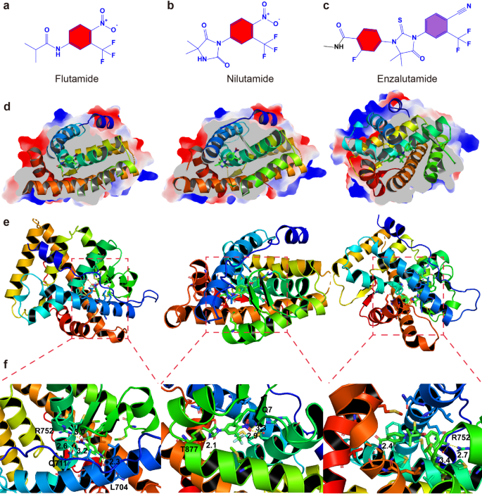 Preclinical and first-in-human evaluation of novel androgen receptor ...