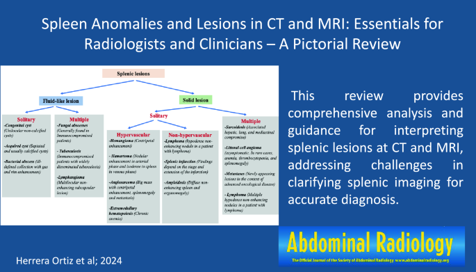 Spleen anomalies and lesions in CT and MRI: essentials for radiologists ...