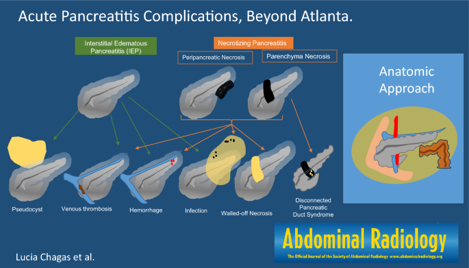 Beyond the revised atlanta classification: a comprehensive review of ...