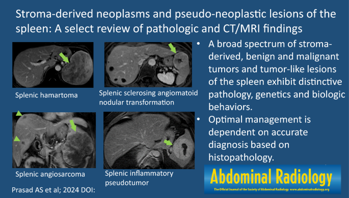 Stroma-derived neoplasms and pseudoneoplastic lesions of the spleen: a ...