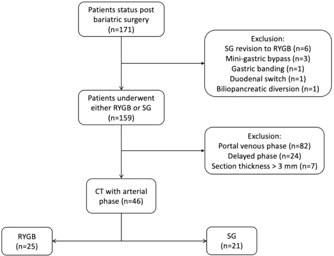 Assessment of arterial supply to the stomach after bariatric surgery ...