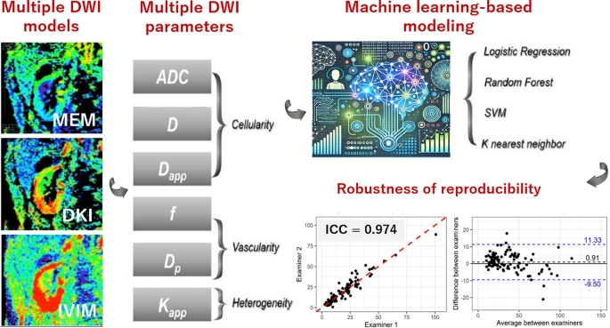Commentary on “Noninvasive assessment of single kidney glomerular ...