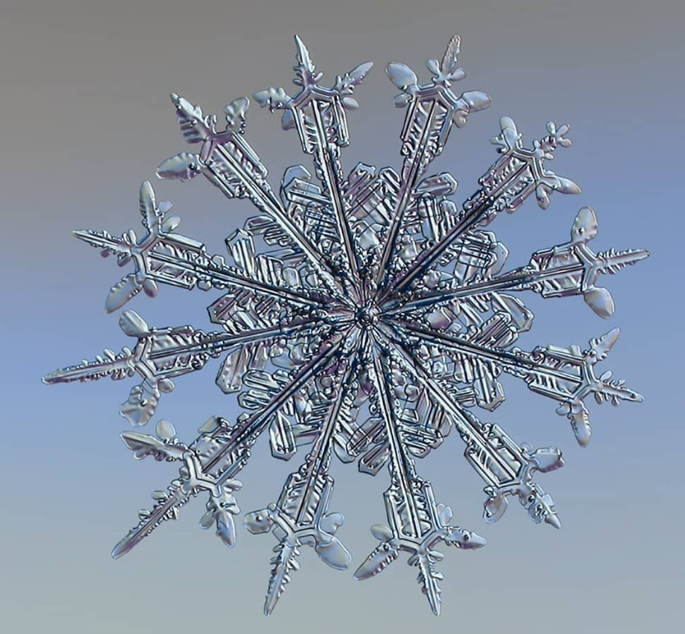 The snowflake sign | Abdominal Radiology