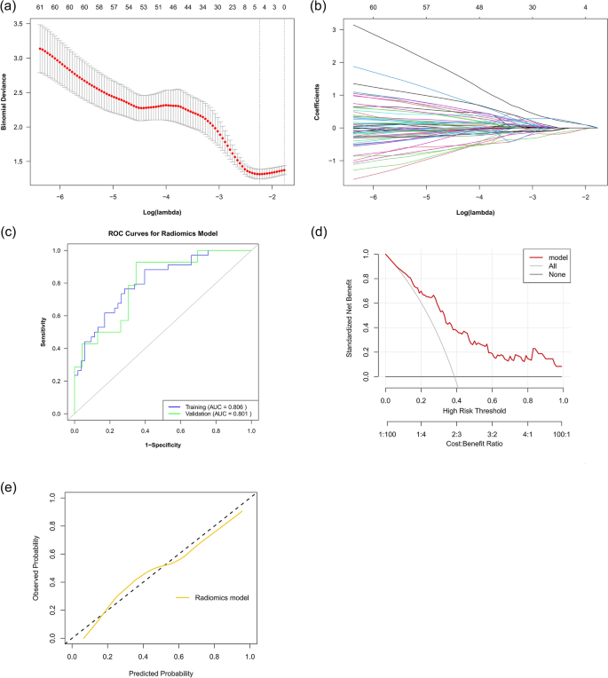 CT-based machine learning radiomics predicts Ki-67 expression level and ...
