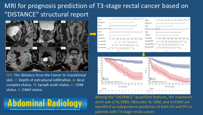 MRI for prognosis prediction of T3-stage rectal cancer based on ...