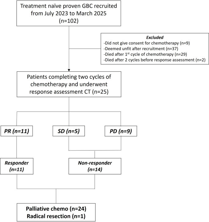 CT-based multimodal prediction model for chemotherapy response in ...