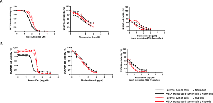 Impact of fludarabine and treosulfan on ovarian tumor cells and ...