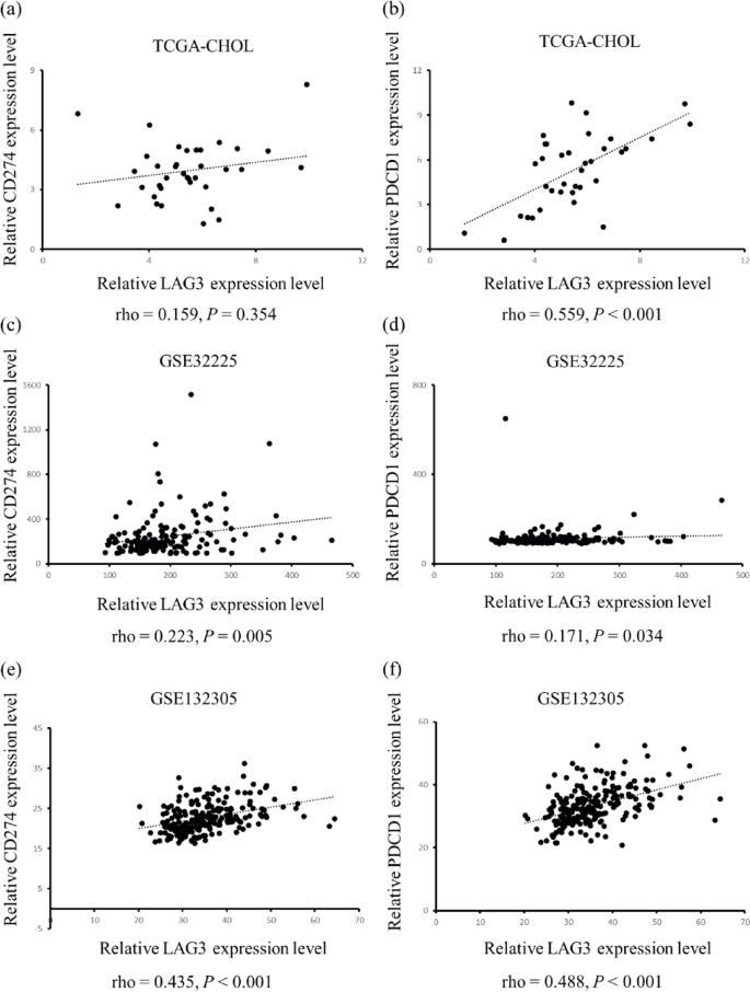 The correlation between LAG-3 expression and the efficacy of ...
