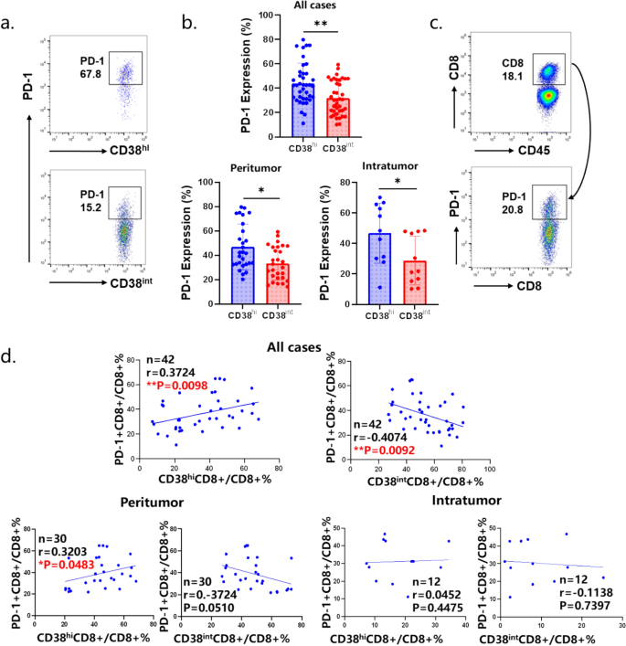 High CD38 expression defines a mitochondrial function-adapted CD8+ T ...