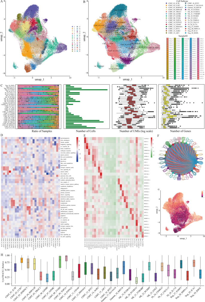 The single-cell atlas of colorectal cancer reveals cellular ...